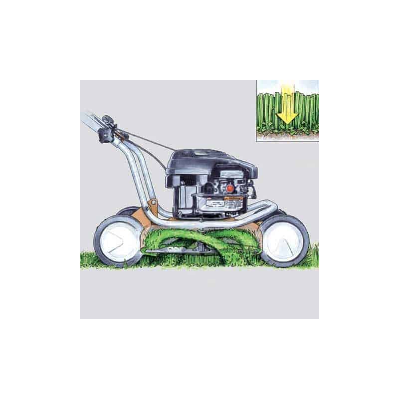 Tondeuse Thermique STIHL RM 3RT | Costes Verts Loisirs